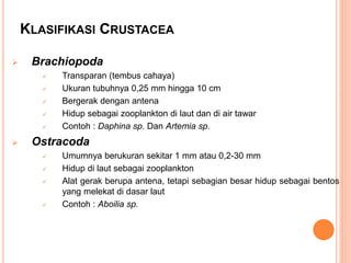 Crustacea | PPTX