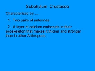 Subphylum Crustacea Notes | PPT
