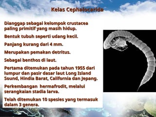 jenis jenis Crustacea (Entomostraca).ppt