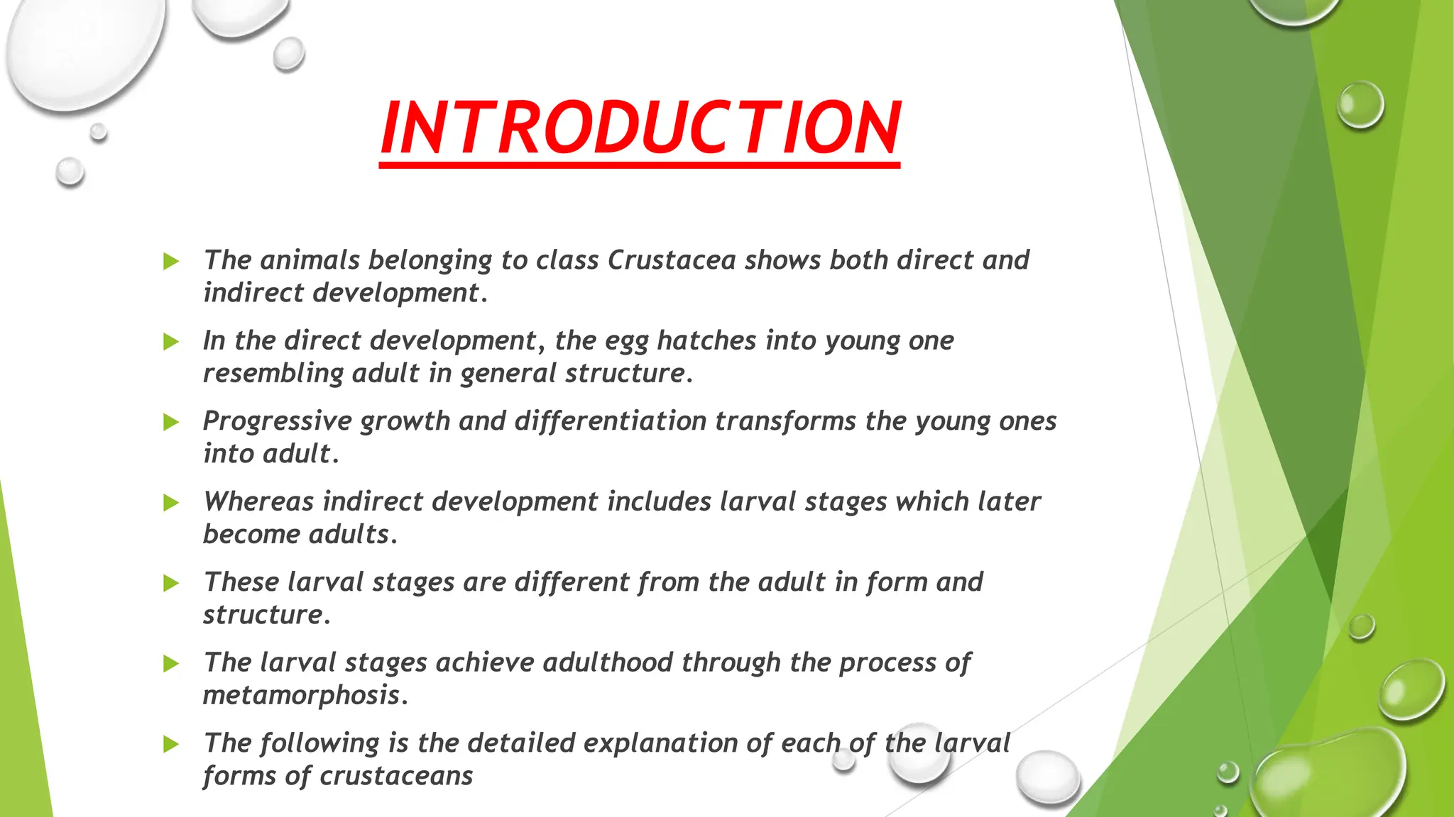 Crustacean larva .pptx