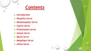 Crustacean larva .pptx