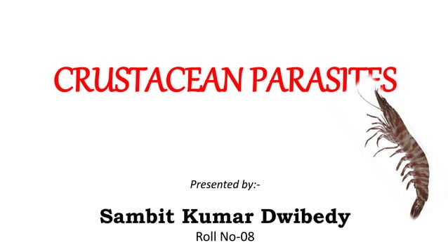 Crustacean parasite | PPTX | Fish and Aquariums | Pets
