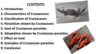 Crustaceans Characteristics