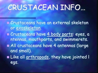 Crustaceans[1] | PPTX