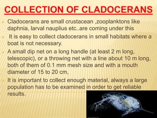 Crustaceans preservation | PPT