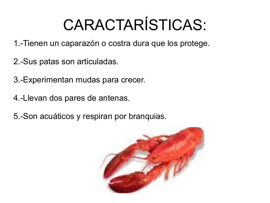 Crustaceos