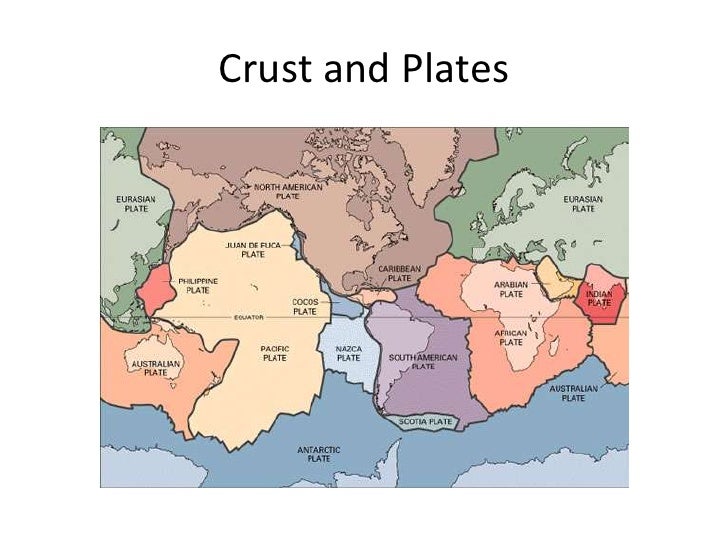 Crust and plates
