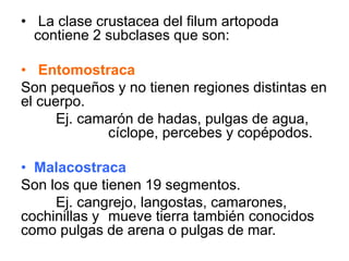 Crustáceos | PPTX