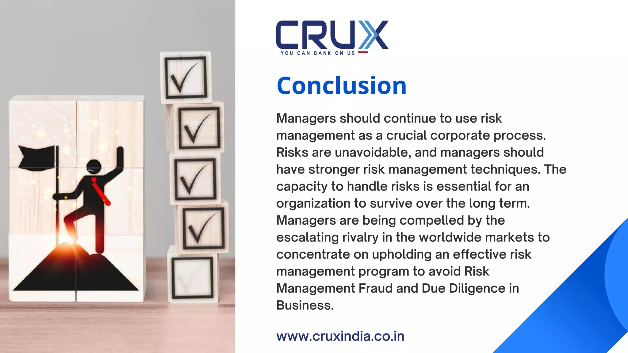 Crux India Control Risks Management Services | PPT