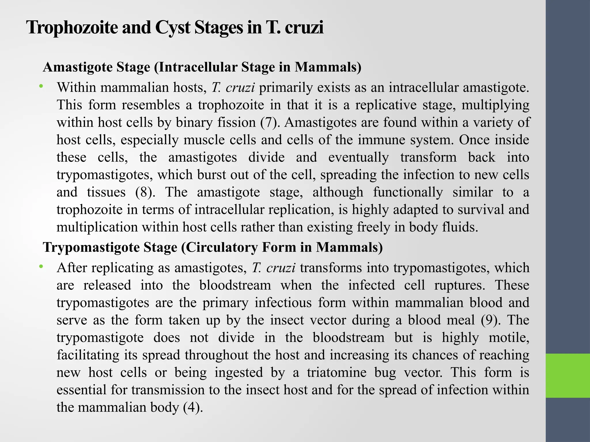 Trypanosoma cruzi seminar characteristics | PPTX