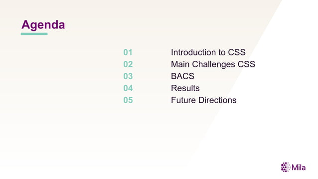 BACS Continual Semantic Segmentation | PPT