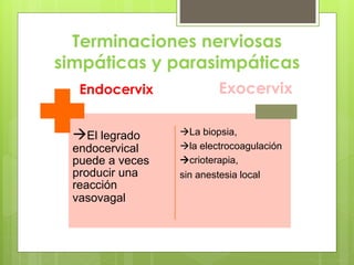 Ginecología: Cuello del útero, introducción | PPTX