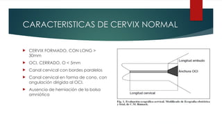 Cérvix corto, gestacion, ginecologia y obstetricia | PPTX