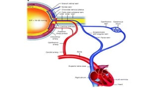 CRVO-TYPES & PATHOPHYSIOLOGY-OPHTHAL PG | PPTX