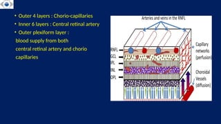 CENTRAL RETINAL VEIN OCCLUSION . RETINA. | PPTX