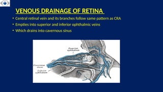 CENTRAL RETINAL VEIN OCCLUSION . RETINA. | PPTX