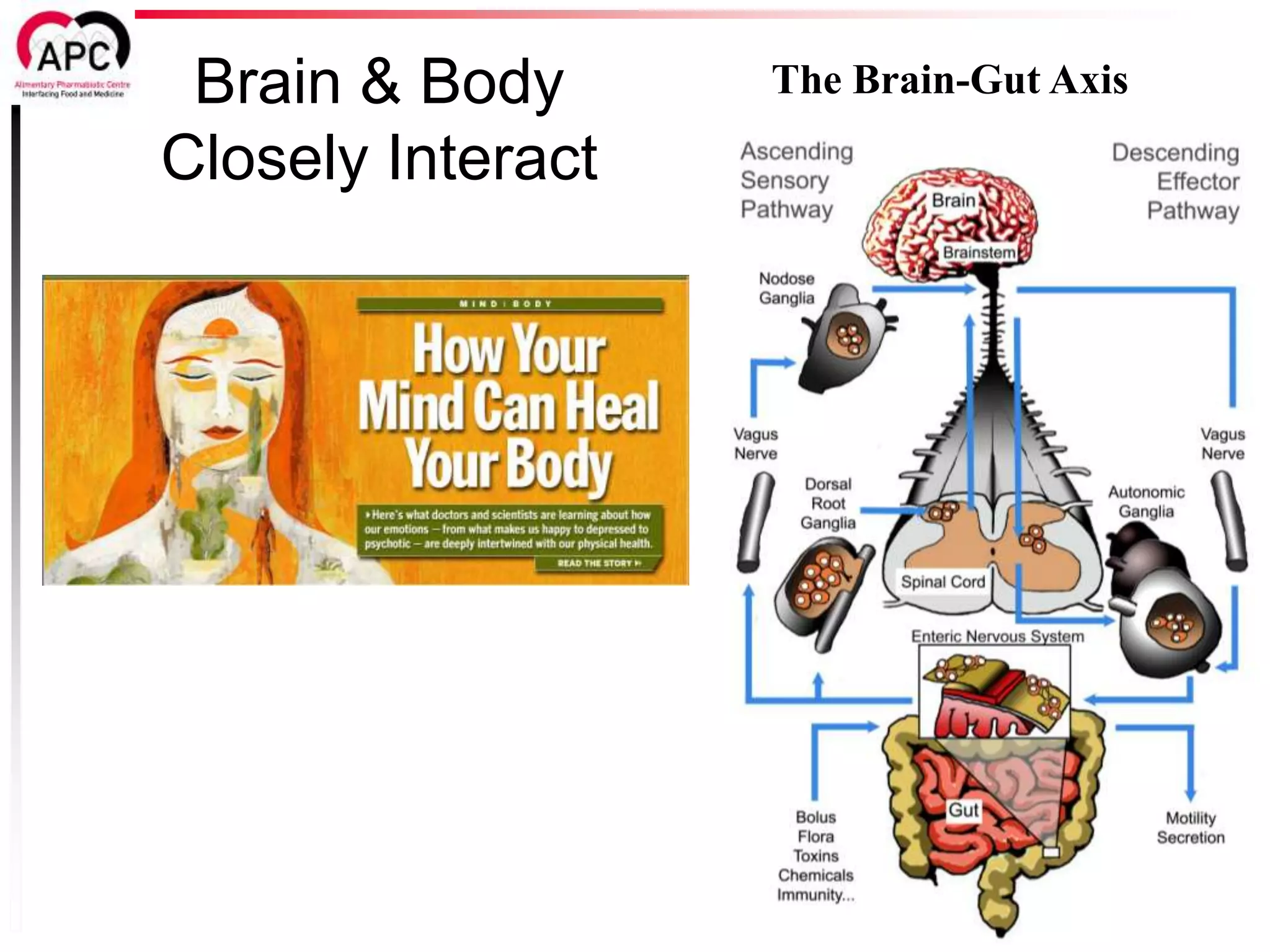 Stress and the Brain-Gut-Microbiota Axis (Prof. John F. Cryan) | PPTX