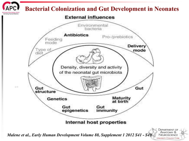 Stress and the Brain-Gut-Microbiota Axis (Prof. John F. Cryan) | PPTX ...