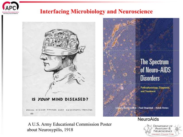 Stress and the Brain-Gut-Microbiota Axis (Prof. John F. Cryan) | PPTX ...