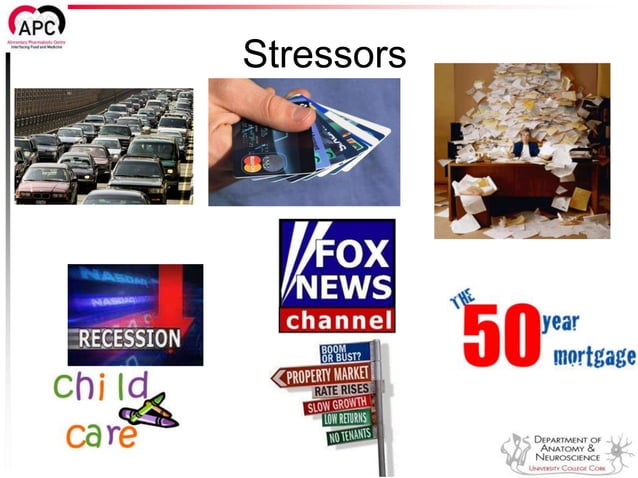 Stress and the Brain-Gut-Microbiota Axis (Prof. John F. Cryan) | PPTX ...