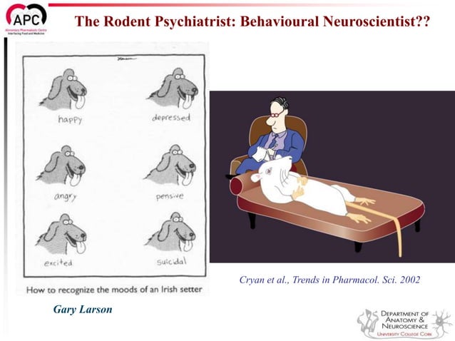 Stress and the Brain-Gut-Microbiota Axis (Prof. John F. Cryan) | PPTX ...