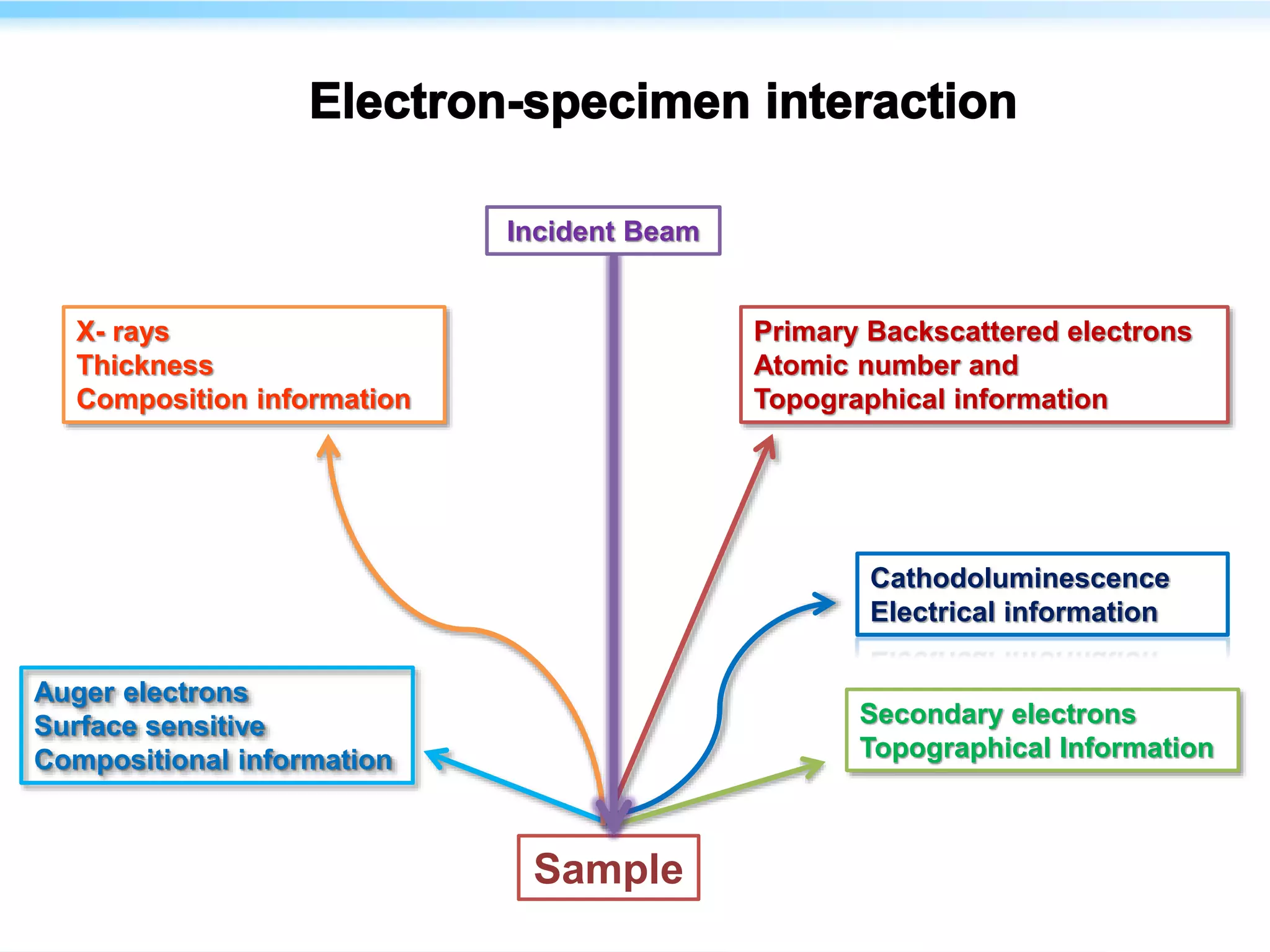 Cryo electron microscopy | PPTX