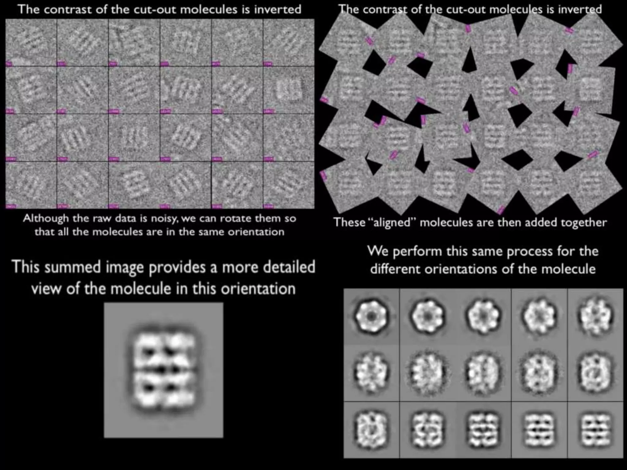 Cryo electron microscopy | PPTX