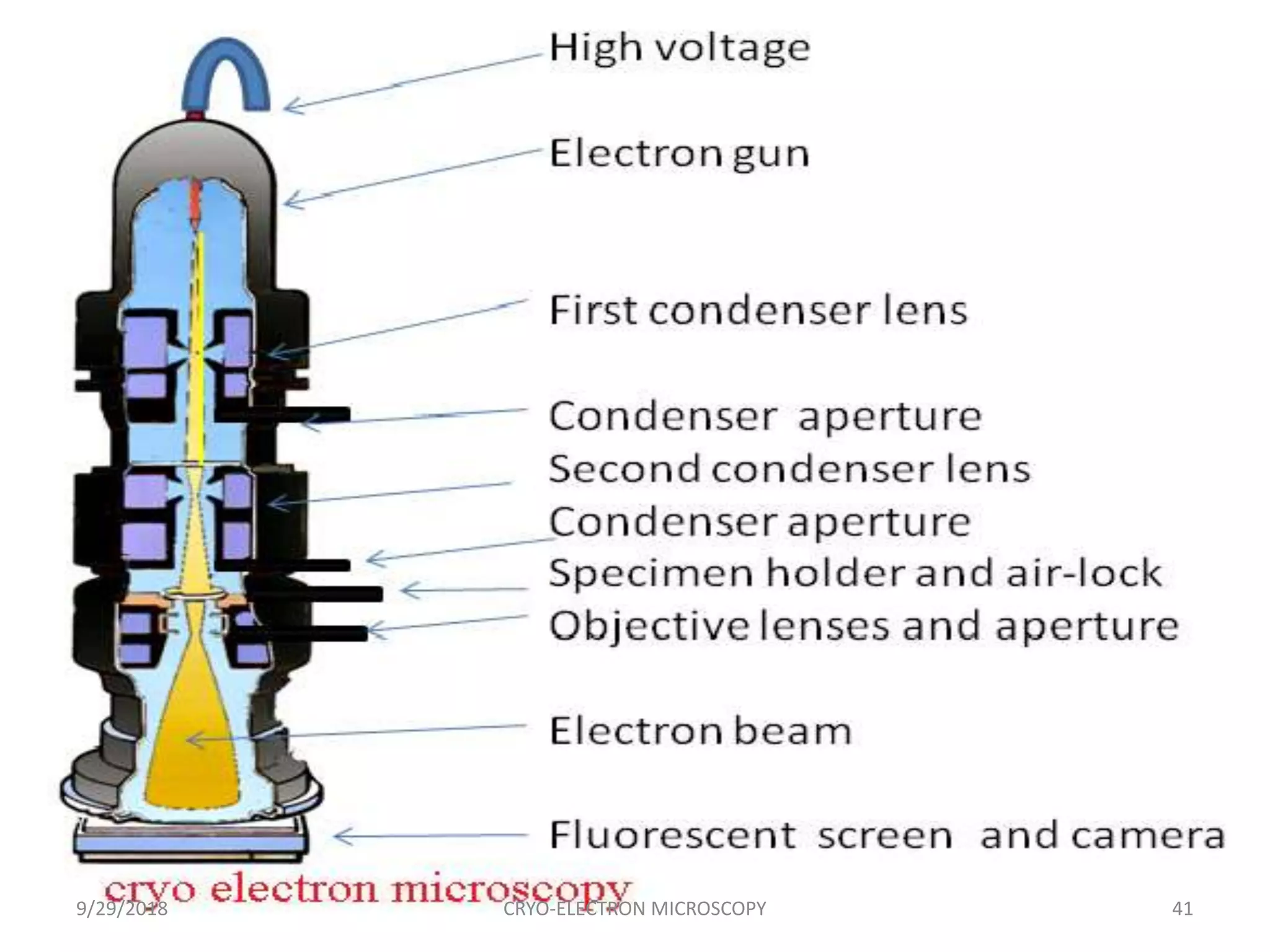 DEVELOPING CRYO-ELECTRON MICROSCOPY OF BIOMOLECULES IN WATER | PPTX