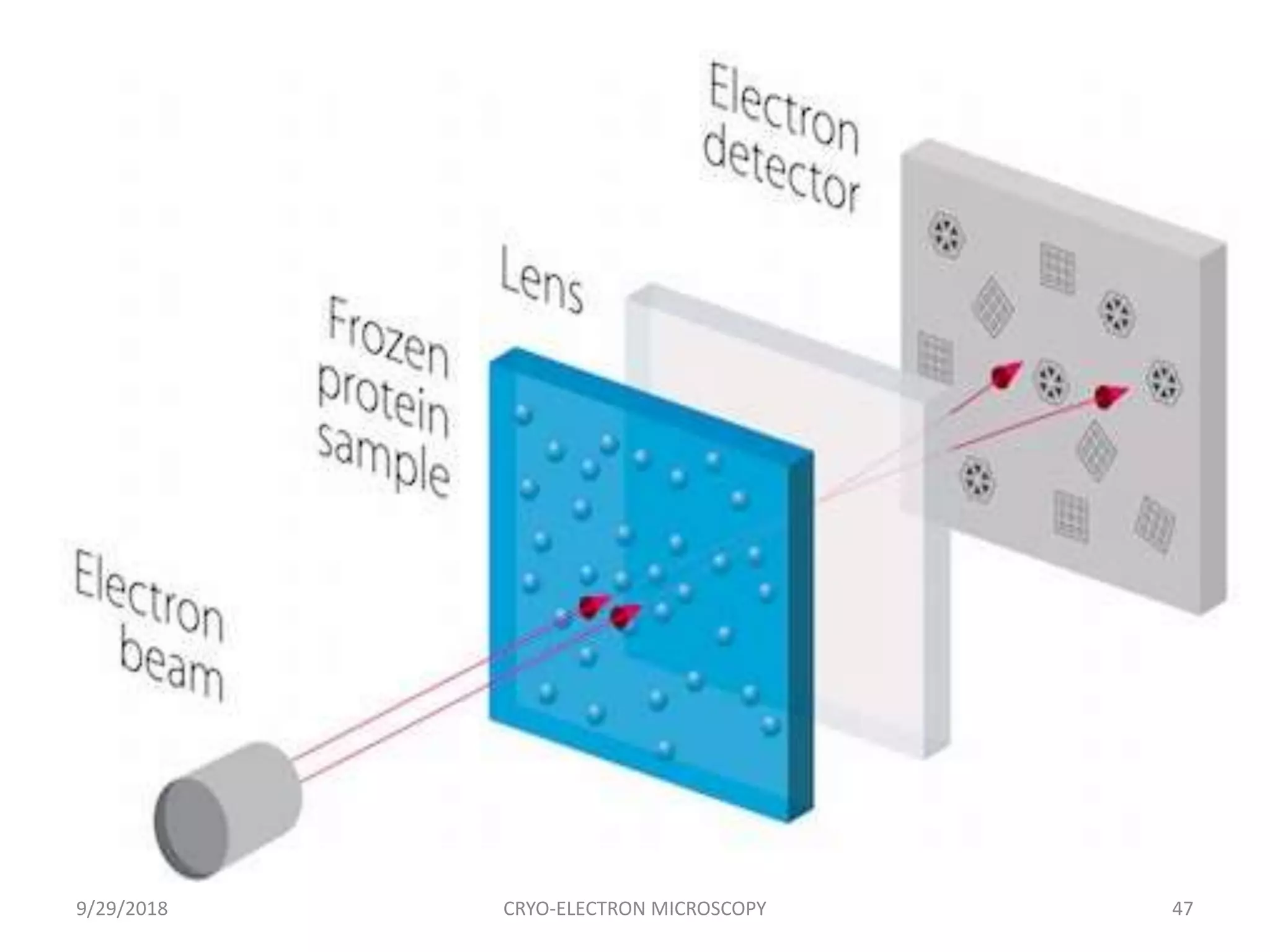 DEVELOPING CRYO-ELECTRON MICROSCOPY OF BIOMOLECULES IN WATER | PPTX