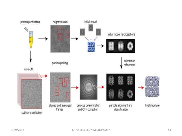 DEVELOPING CRYO-ELECTRON MICROSCOPY OF BIOMOLECULES IN WATER | PPT