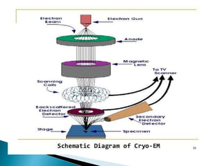 Cryo electron microscope.presentaion | PPTX