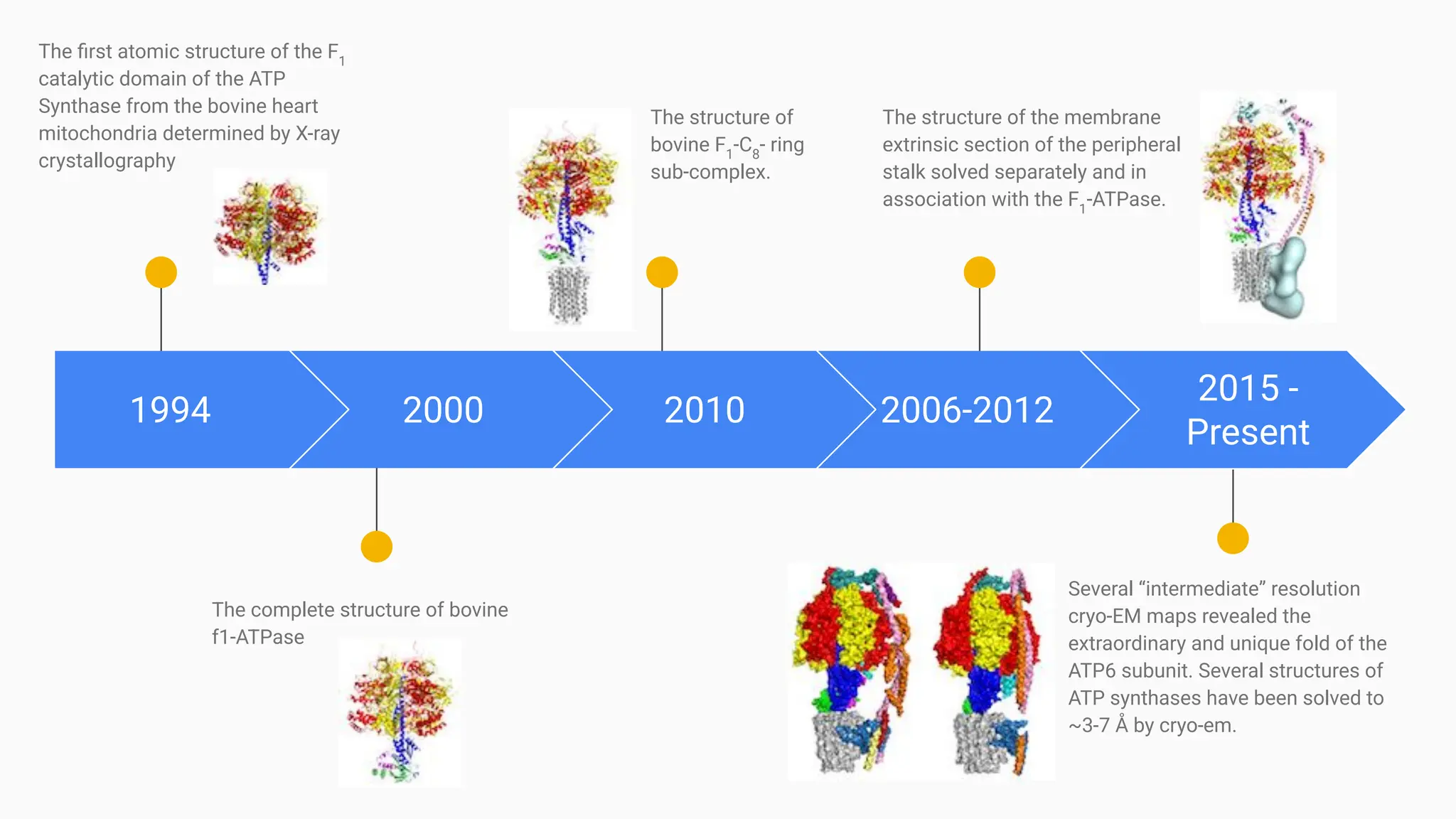Cryo EM to study Structure of ATP Synthase.pdf