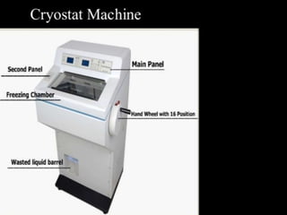 CRYO (FROZEN) SECTION.pptx
