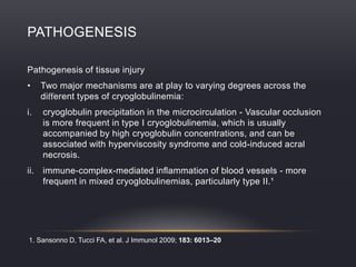 Cryoglobulinemia ppt | PPTX