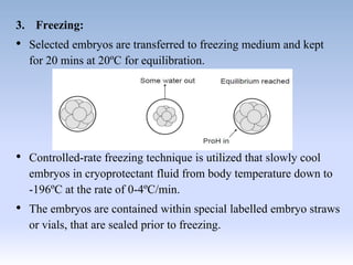 Cryopreservation | PPTX