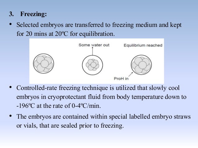 Cryopreservation