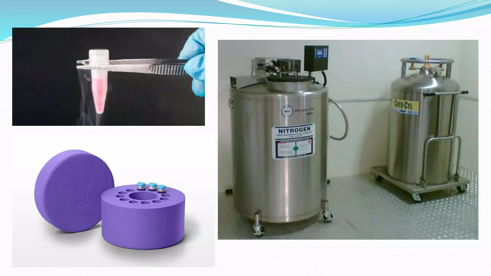 Cryopreservation | PPTX