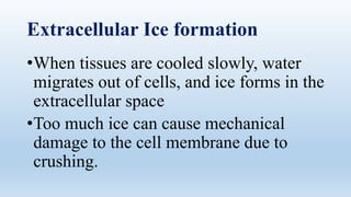 Cryopreservation.pdf
