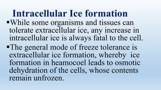 Cryopreservation.pdf