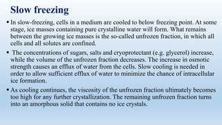 Cryopreservation.pdf