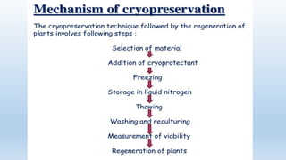 Cryopreservation.pdf