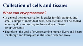 Cryopreservation.pdf