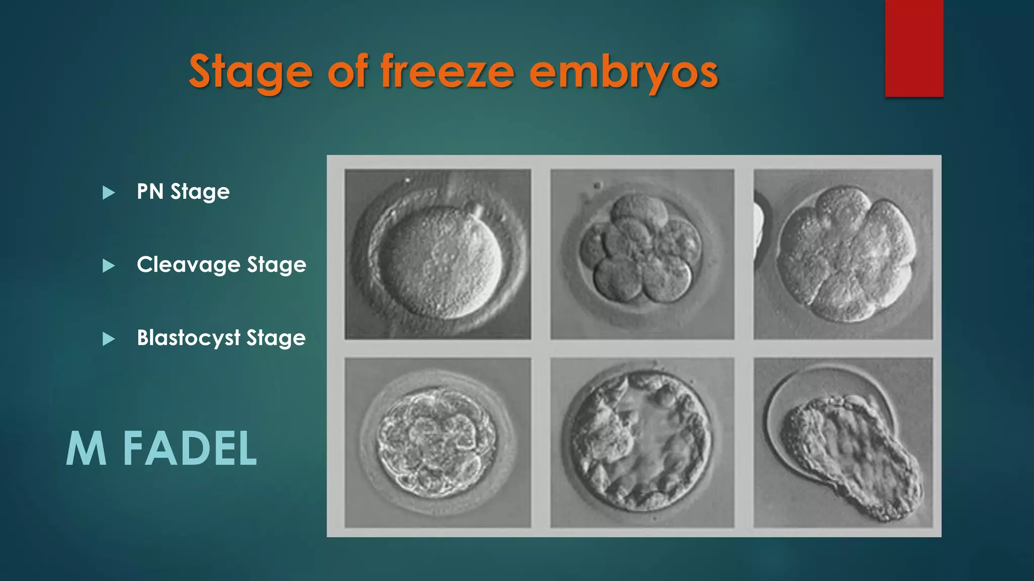 An Overview on Embryos Cryopreservation & Vitrification | PDF