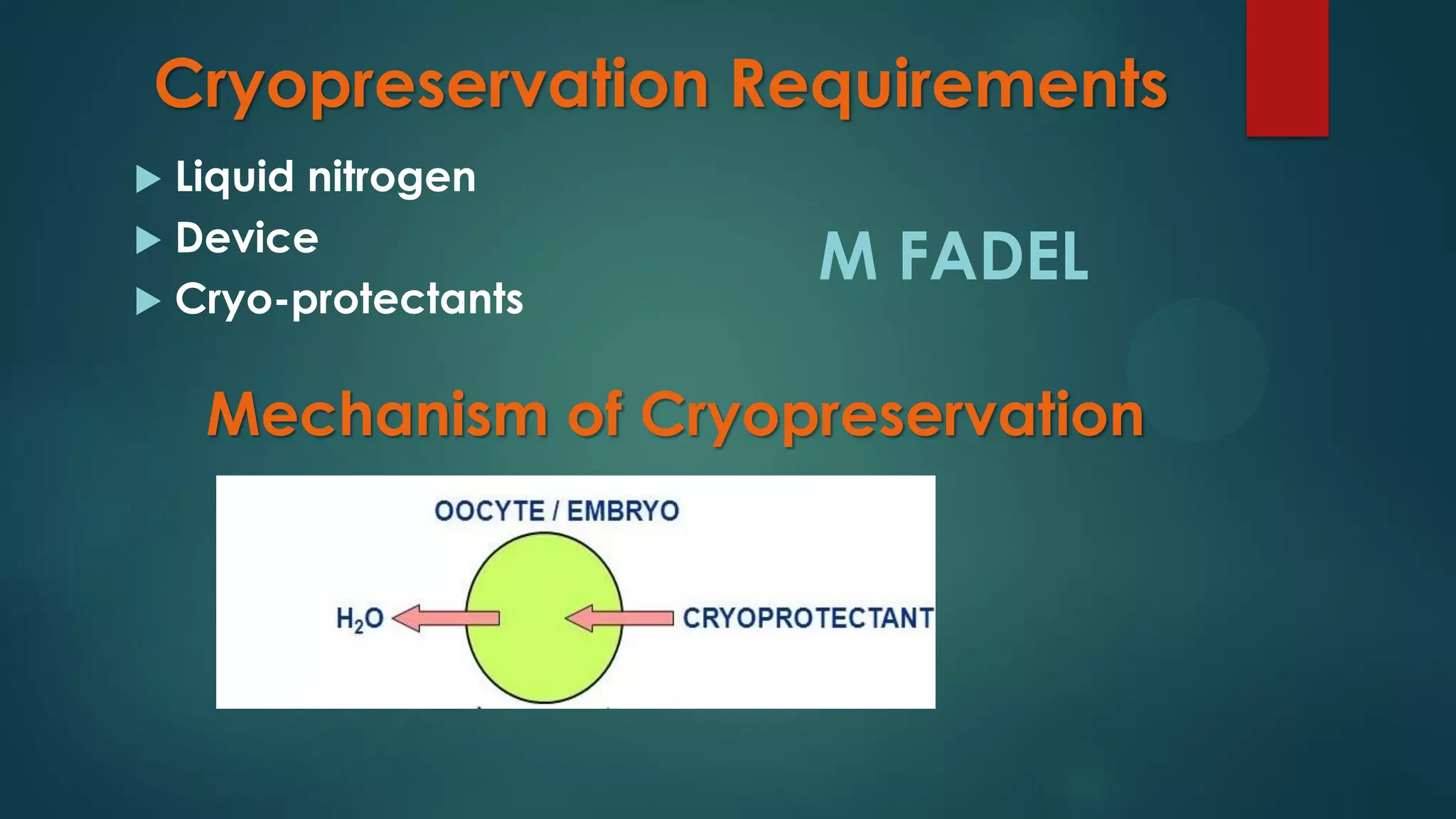 An Overview on Embryos Cryopreservation & Vitrification | PDF