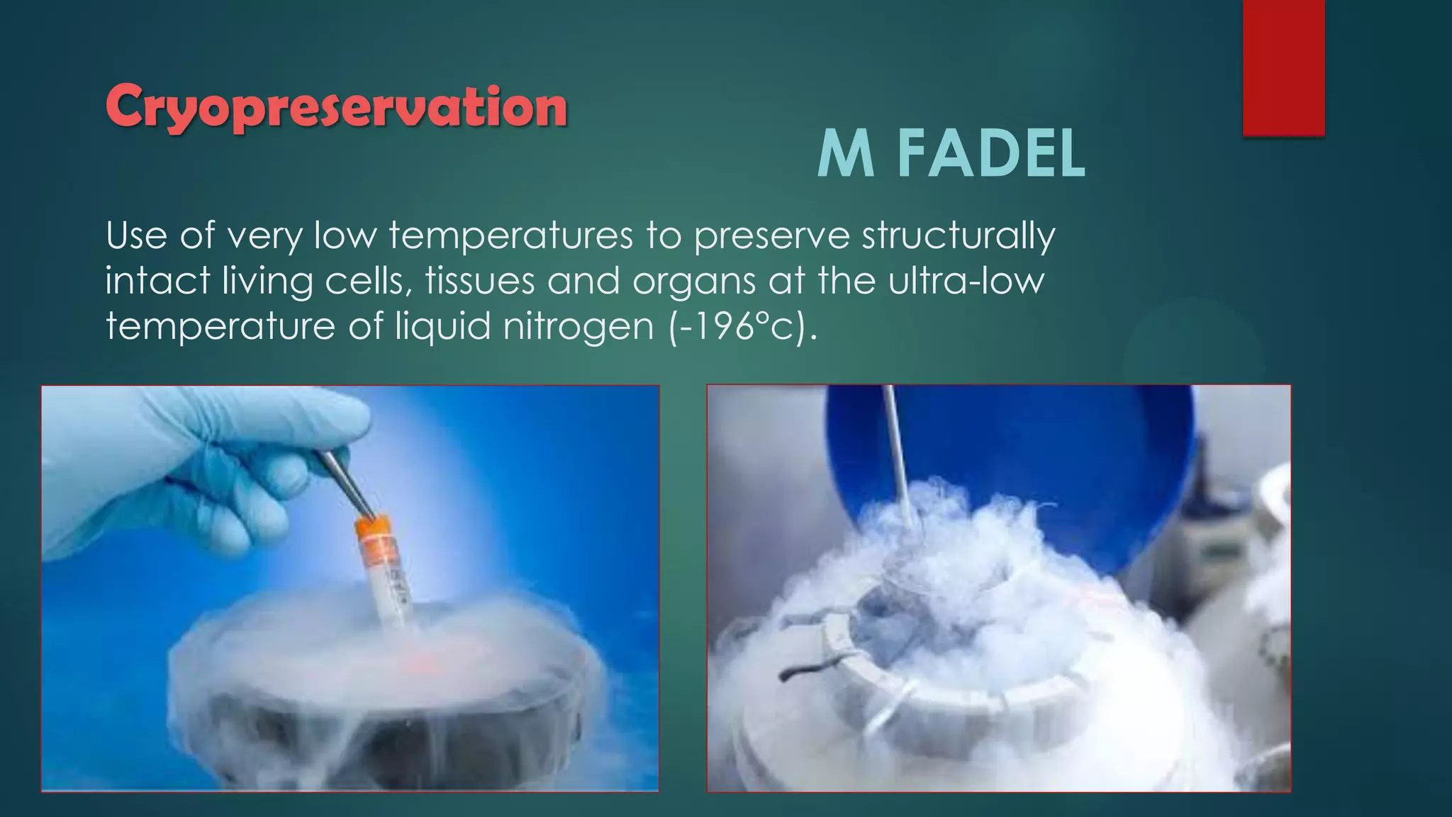 An Overview on Embryos Cryopreservation & Vitrification | PDF