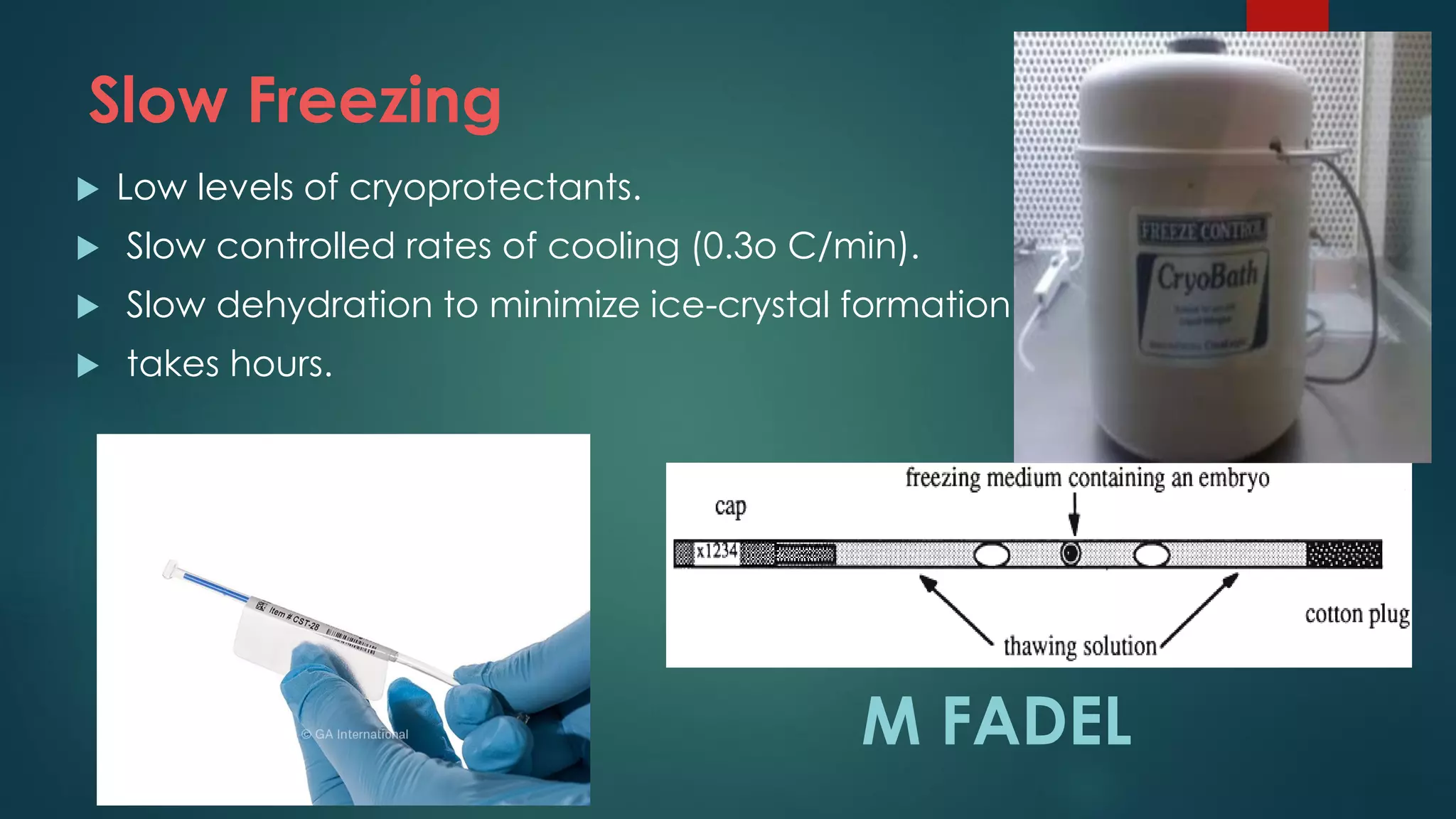 An Overview on Embryos Cryopreservation & Vitrification | PDF