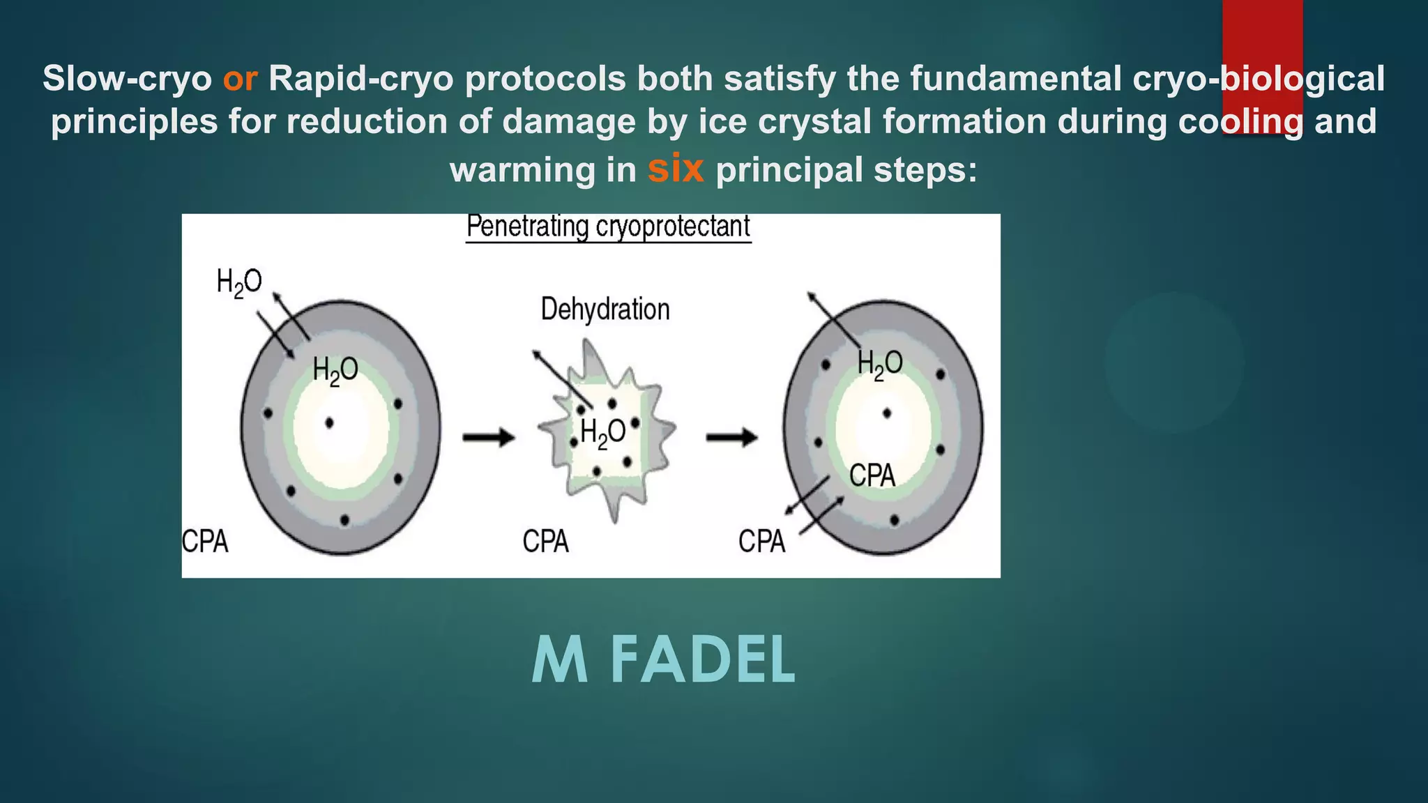 An Overview on Embryos Cryopreservation & Vitrification | PDF