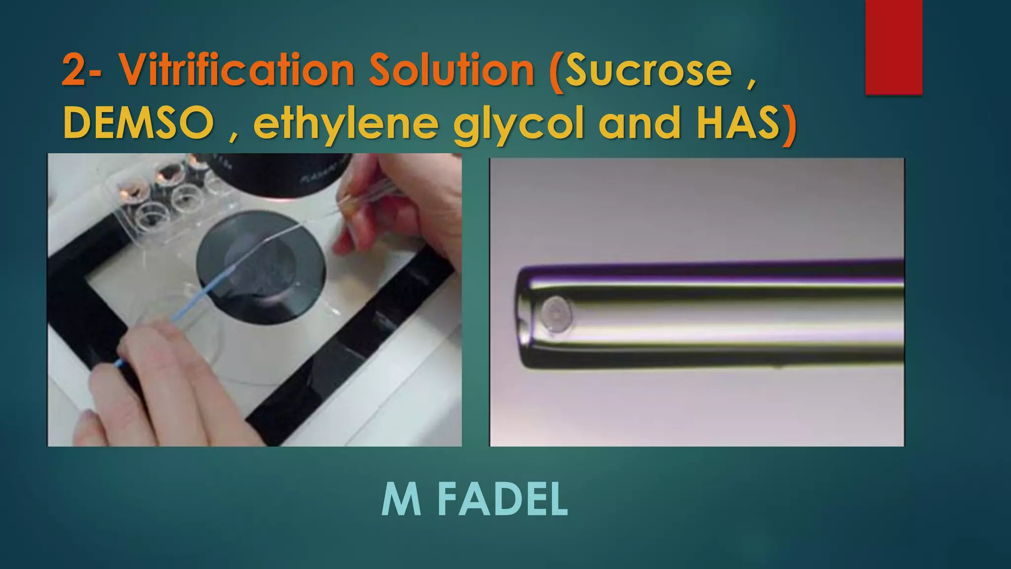 An Overview on Embryos Cryopreservation & Vitrification | PDF