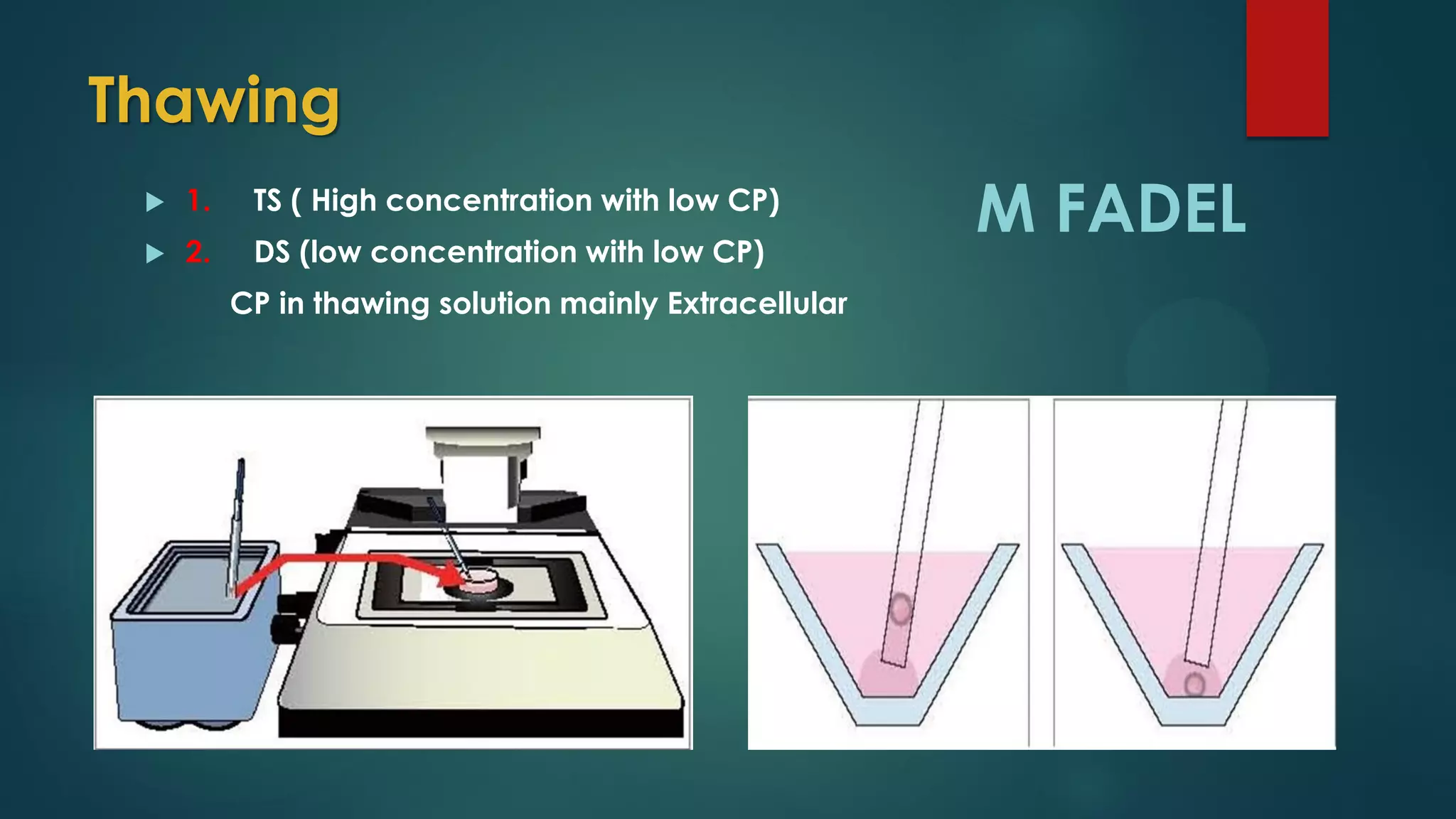 An Overview on Embryos Cryopreservation & Vitrification | PDF