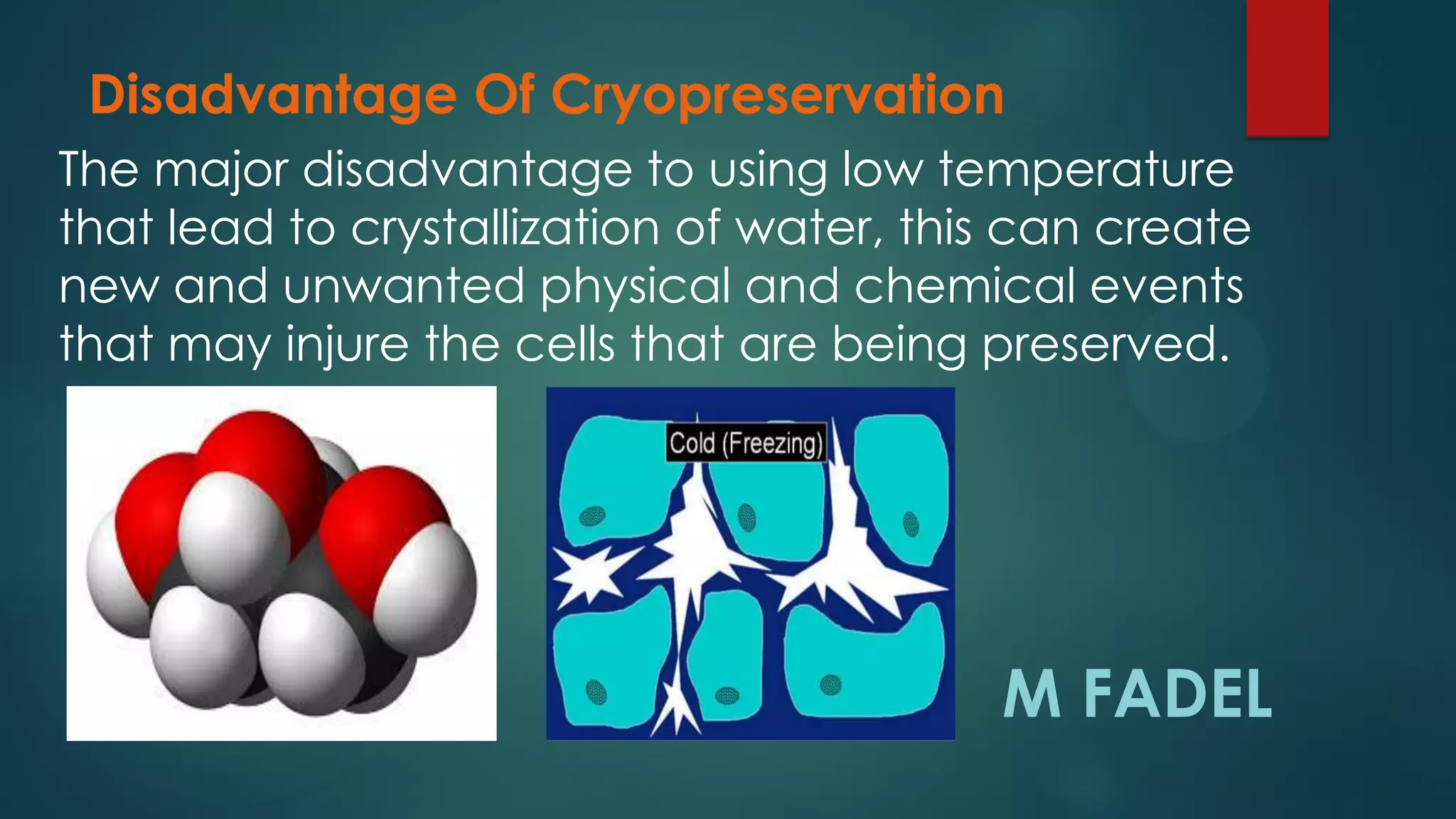 An Overview on Embryos Cryopreservation & Vitrification | PDF